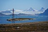 Warming climate changing CO2 balance in northern ecosystems