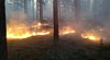 Norway launches Wildland Fires Initiative as part of Arctic Council ...